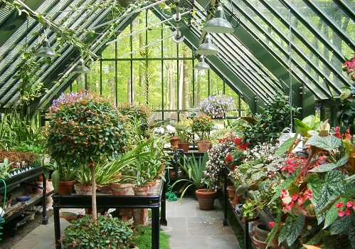 Growing Under Glass - Gardeners Club