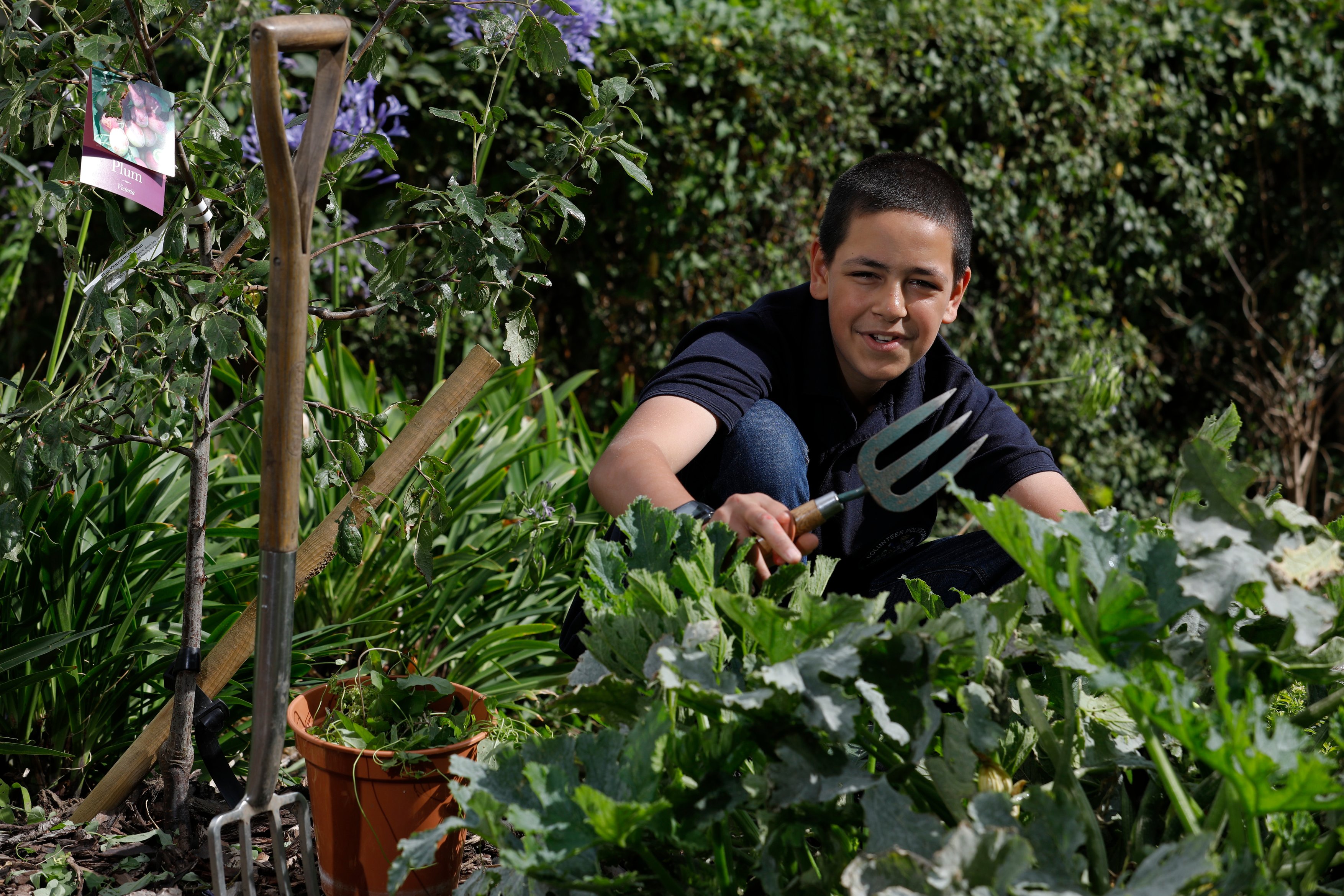 RHS Greening Grey Britain grants up for grabs - Gardeners Club