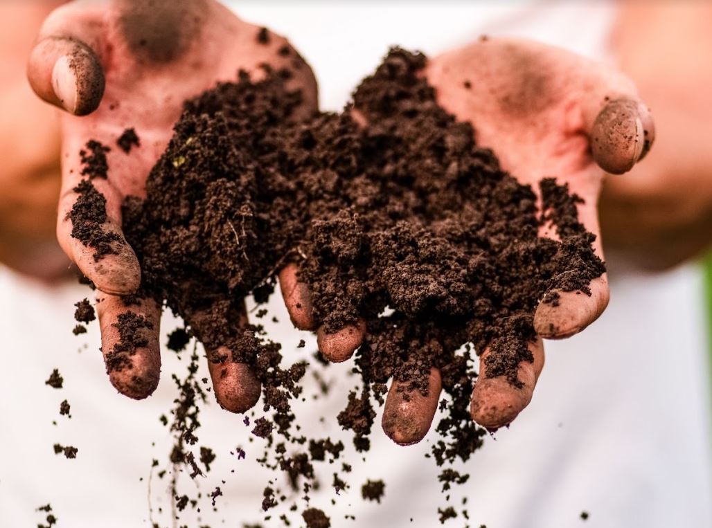 What Type of Bacteria is Found in Healthy Soil? - Gardeners Club