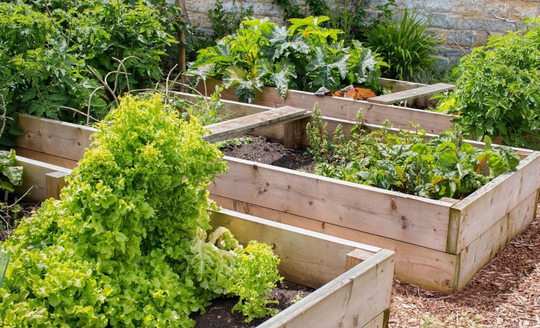 7 Proven-Effective Tips to Prepare a Raised Garden Bed - Gardeners Club
