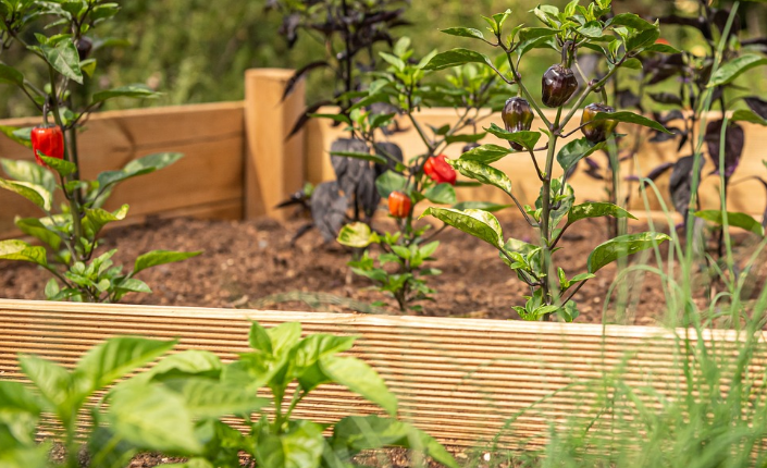How to Build a Simple Raised Bed This Weekend - Gardeners Club